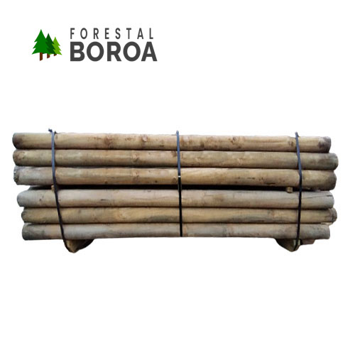 ROLLETE IMPREGNADO 3-4 | Forestal Boroa